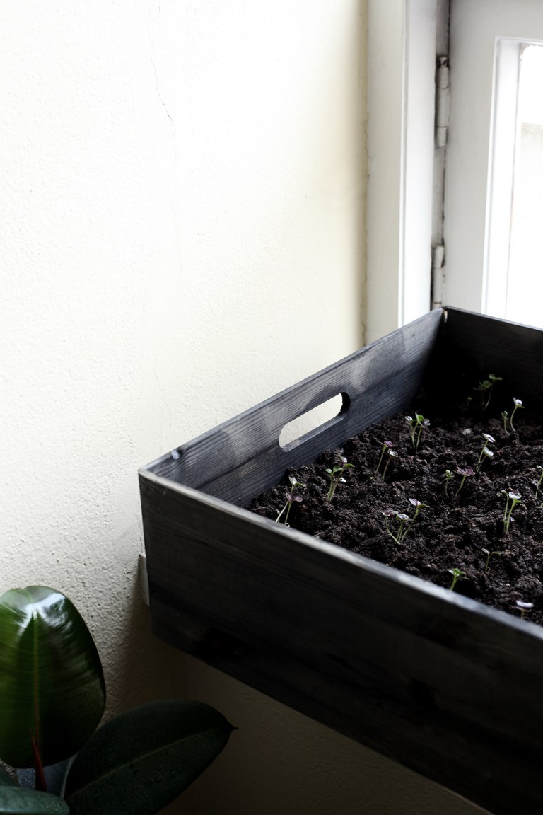 Tikkurila Patio Verso – kevään vihrein uutuus – VARPUNEN