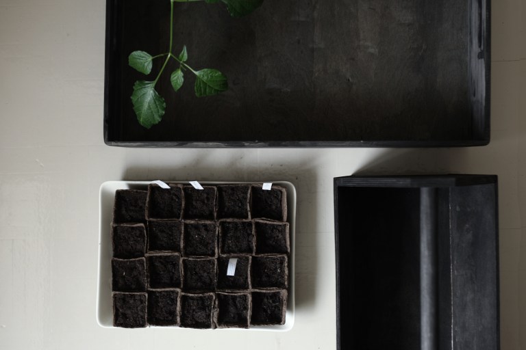 Tikkurila Patio Verso – kevään vihrein uutuus – VARPUNEN